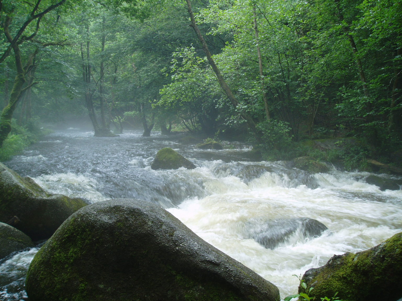Wildwater Racing – The home of the canoe sport of Wildwater Racing.